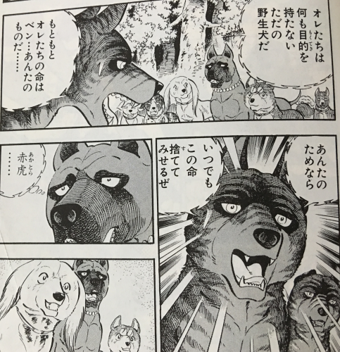 『銀牙ー流れ星 銀ー』のイケメントップ5＋3匹！イケメンに欠かせない5つのパラメーターを5つの★で評価してみた！ | マンガフル